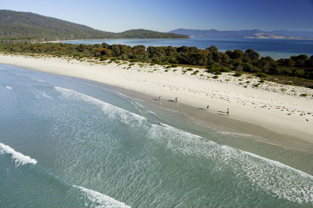 Maria Island Tours | Maria Island Tasmania | Australian Wildlife Journeys