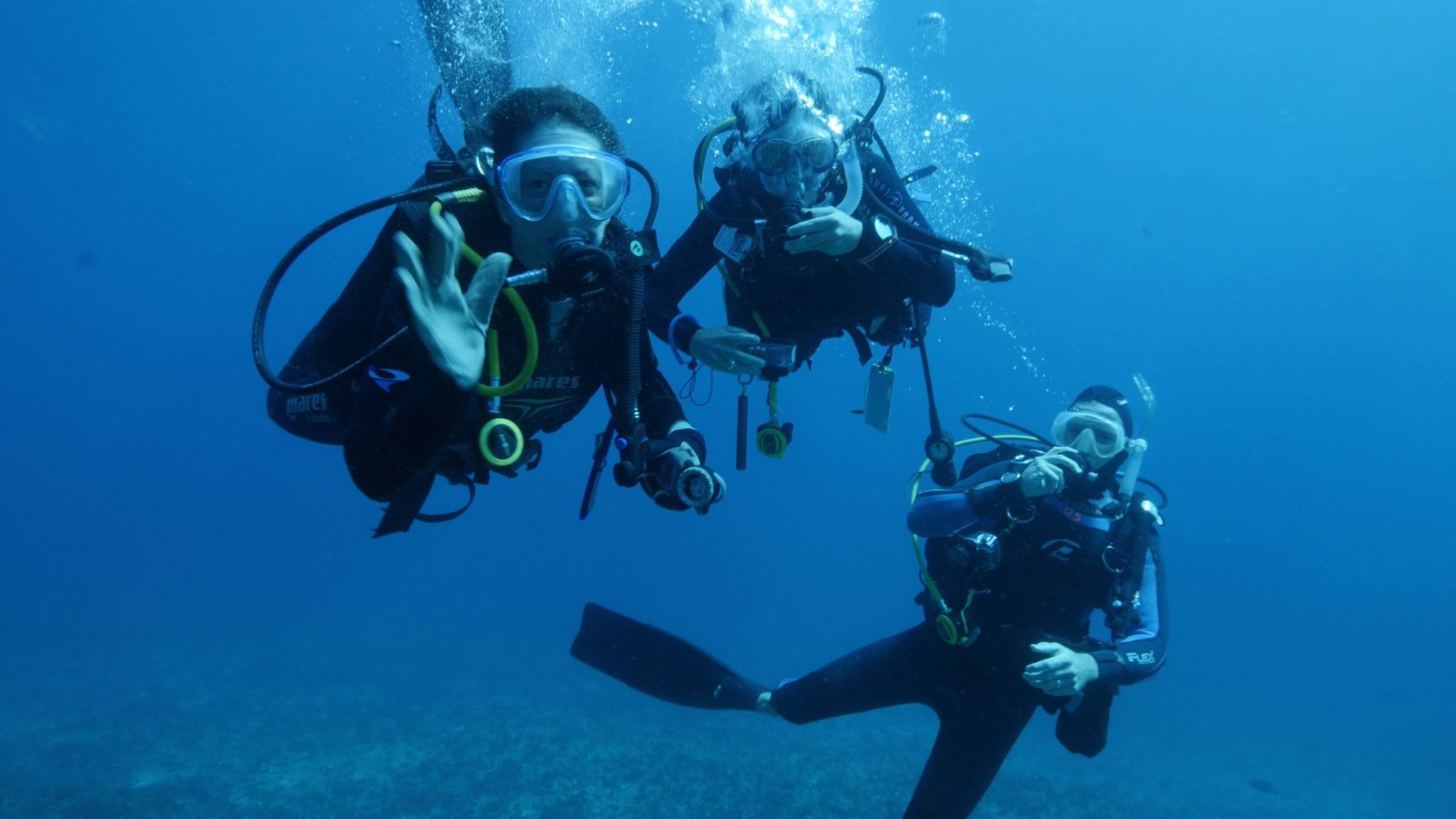 Top 4 Diving Destinations in Australia | Australian Wildlife Journeys