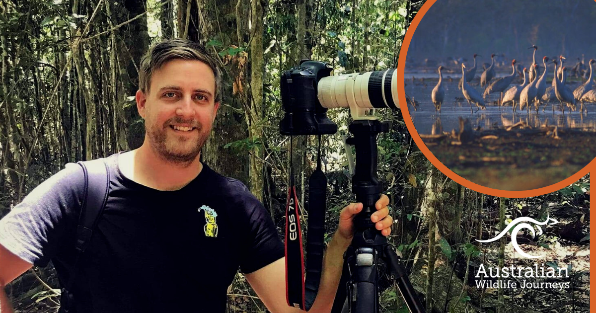 Tropical Wetlands birding expedition with Matt Cornish | Australian ...