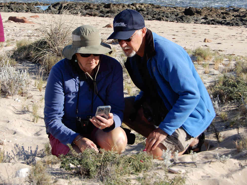 Make Your Australian Holiday More Meaningful with Citizen Science ...